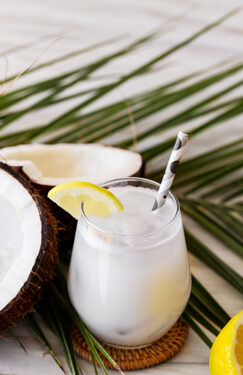 La recette onctueuse du punch coco antillais - Old Nick