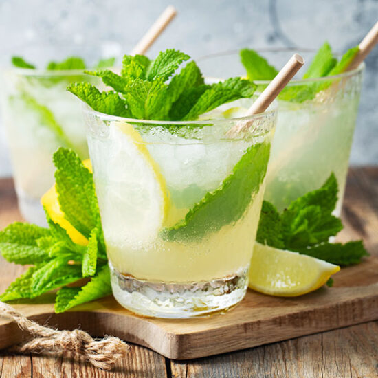 Mojito au Thermomix - Old Nick